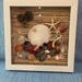 Seashell Shadowbox in White Frame - Etsy