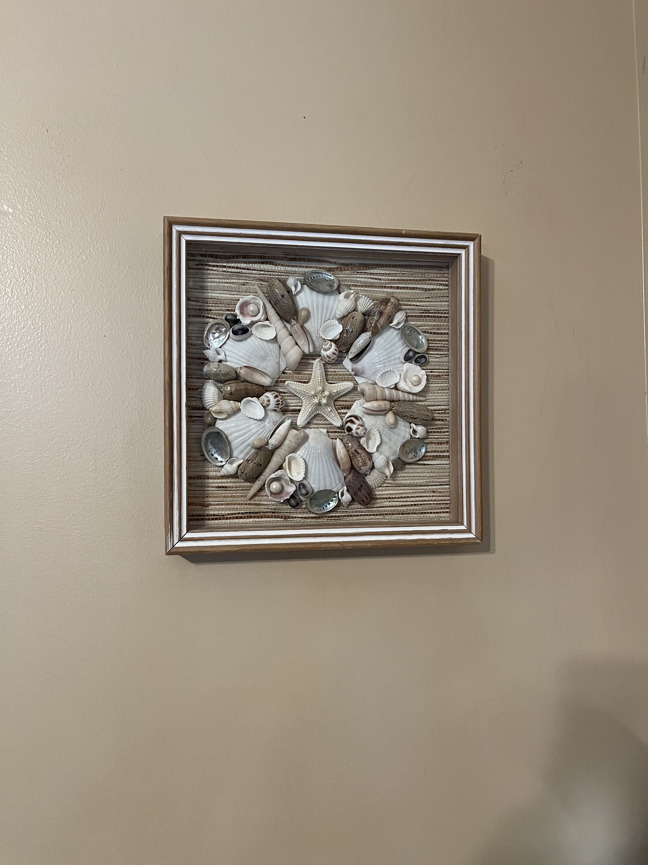 White Washed & Natural Square Seashell Shadowbox, Nautical Beachcomber ...