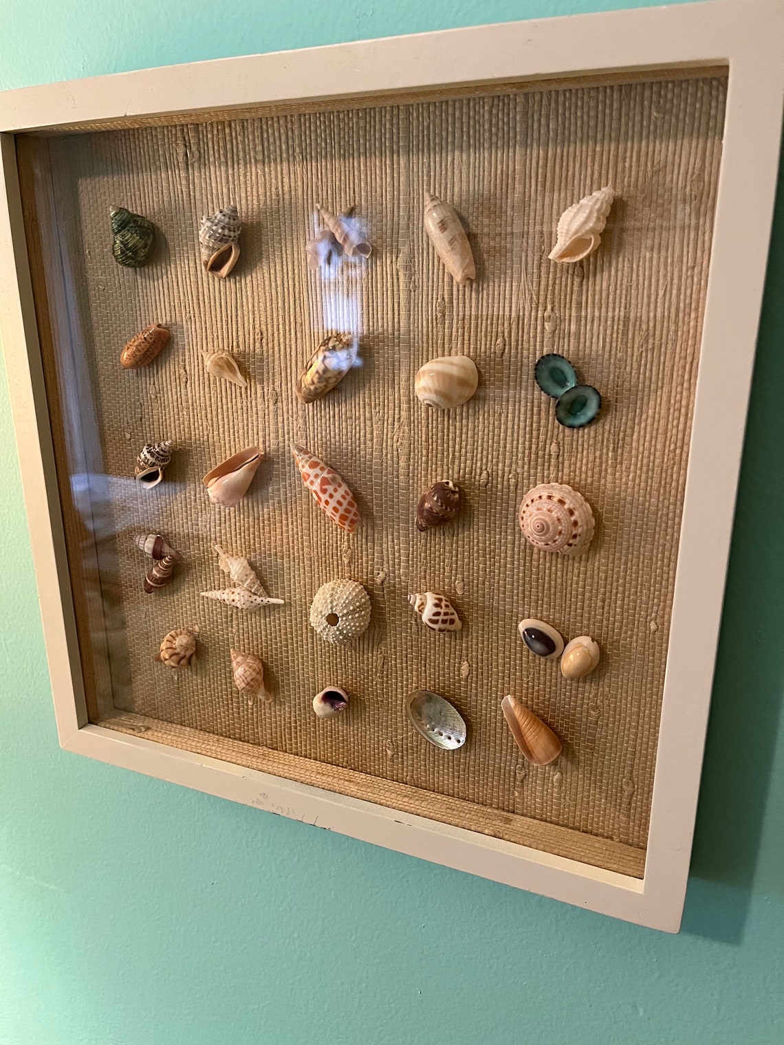 Mini Seashells Square Shadowbox Display Nautical or Coastal - Etsy