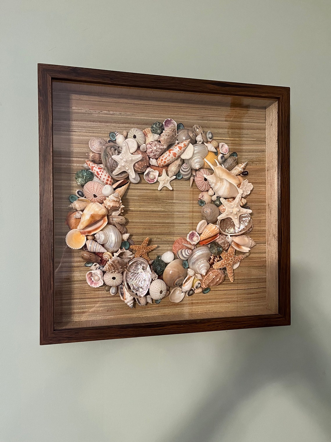 Seashell Shadowbox Deluxe Display in Dark Oak Frame - Etsy