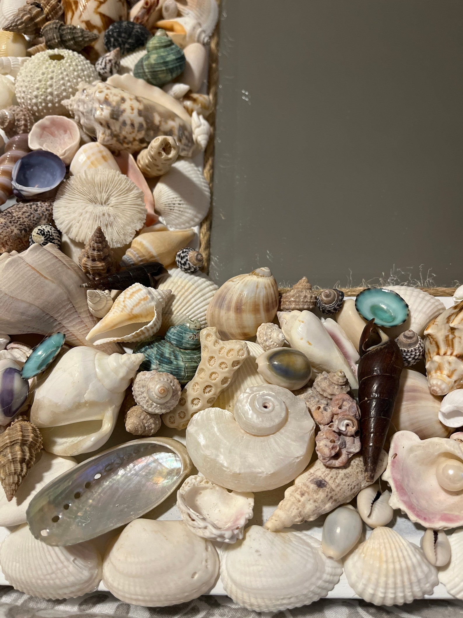 Large Square Seashell Embellished Beveled Mirror Nautical Theme - Etsy