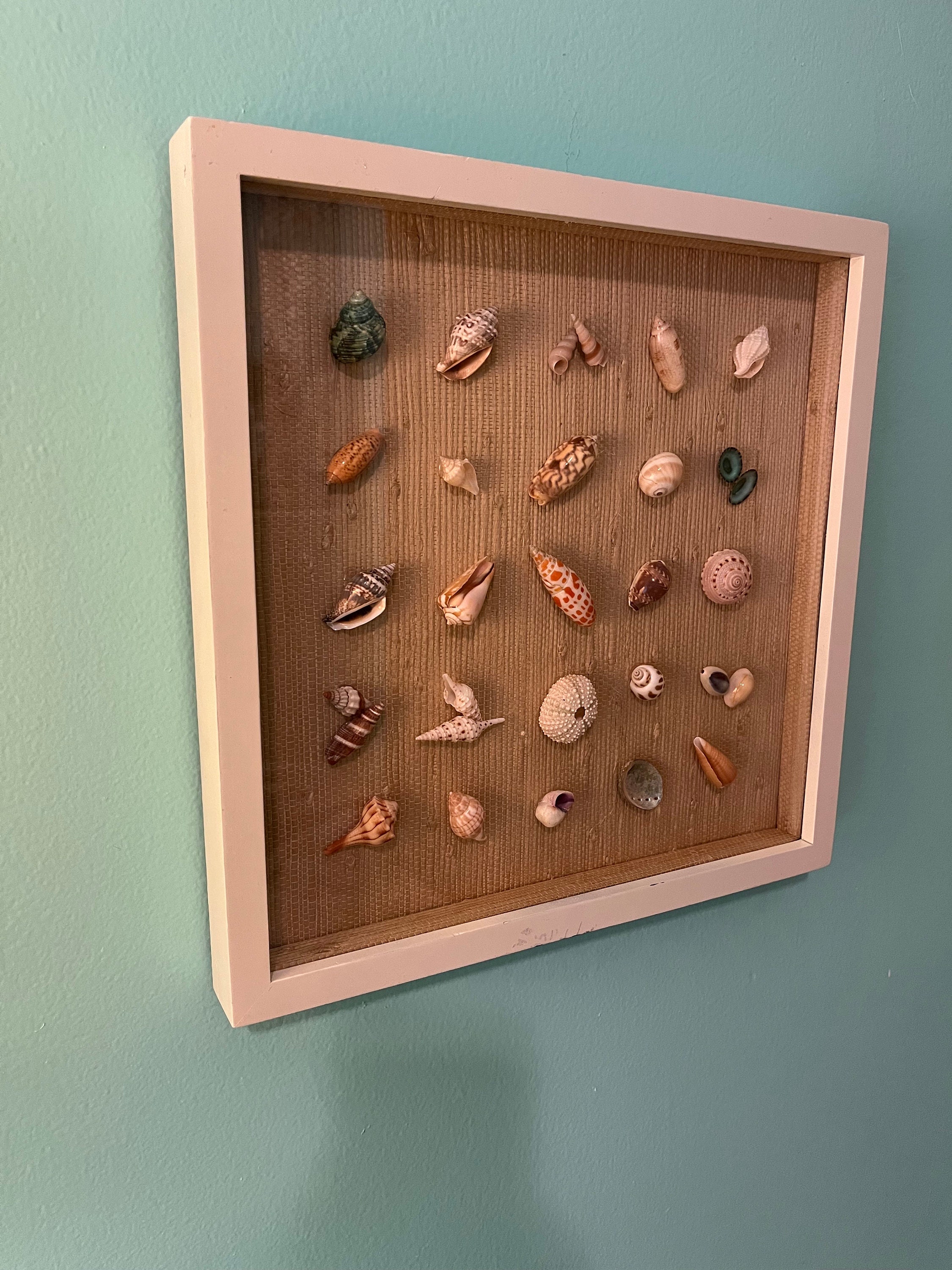 Mini Seashells Square Shadowbox Display Nautical or Coastal - Etsy
