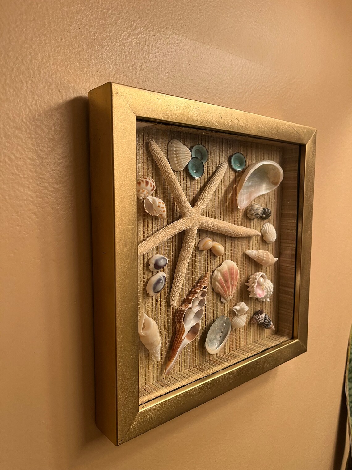 Gold Framed Seashell Shadowbox Display - Etsy