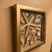 Gold Framed Seashell Shadowbox Display - Etsy