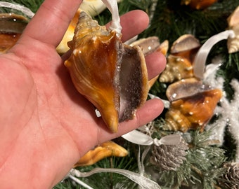 Chinoiserie, White and Blue, Large Conch Shell, Decoupage Shell, Shell ...