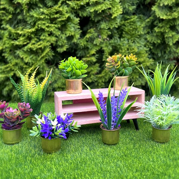 Miniature Plants - Etsy