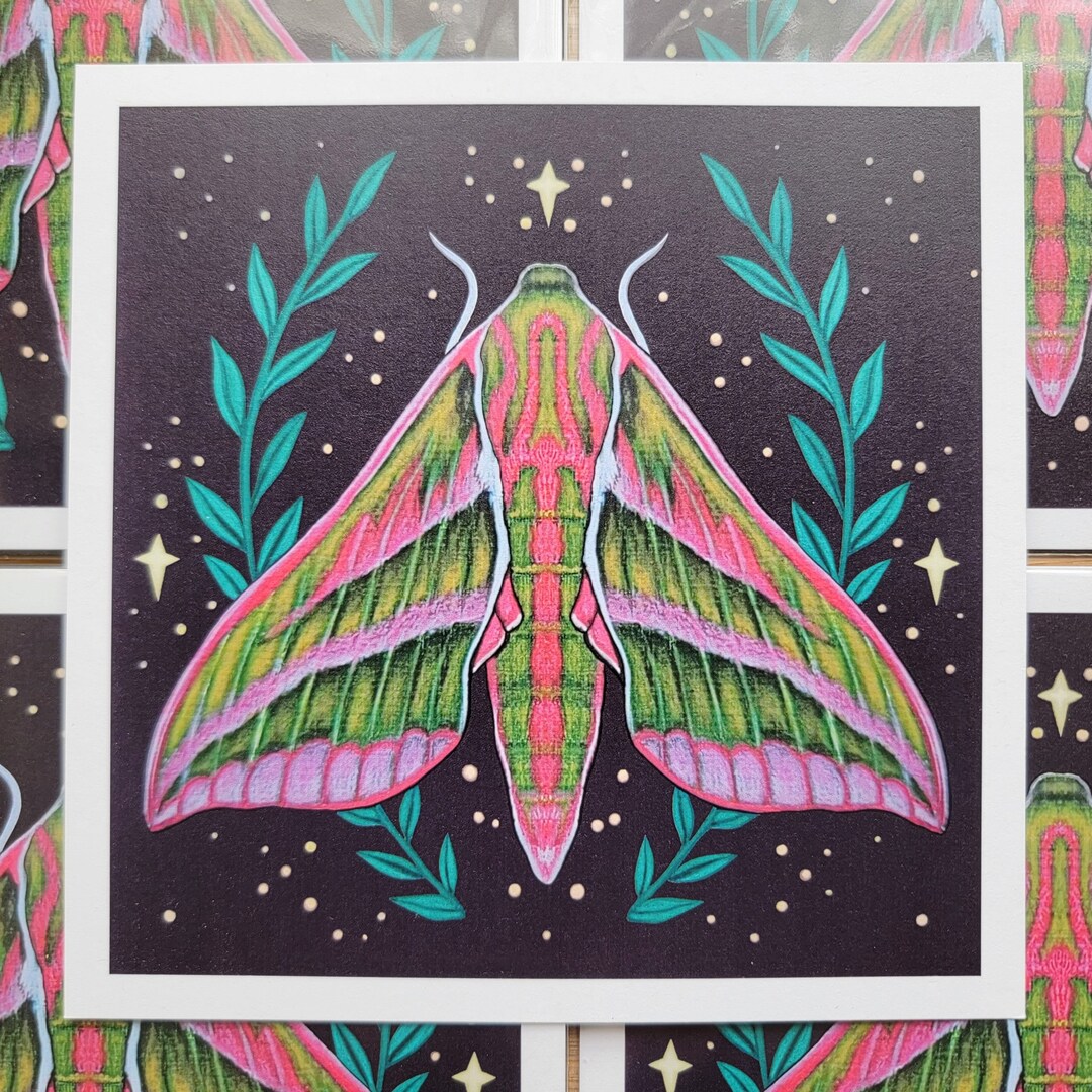 Elephant Hawk Moth Magical Moth Art Hawk Moth Moth Art Unique Moth ...