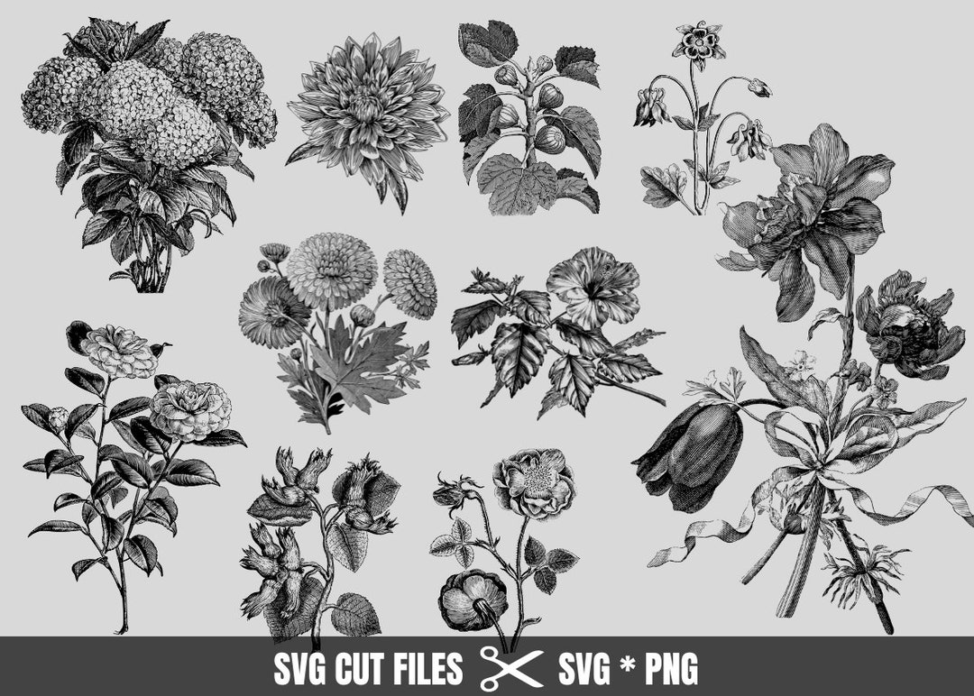 Flower Svg Bundle, Wildflower Png Bundle, Floral Svg, Flower Svg ...