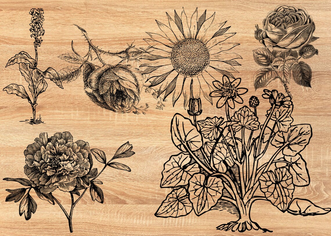 Floral Printable Stickers Svg Floral Design, Png Floral Design ...