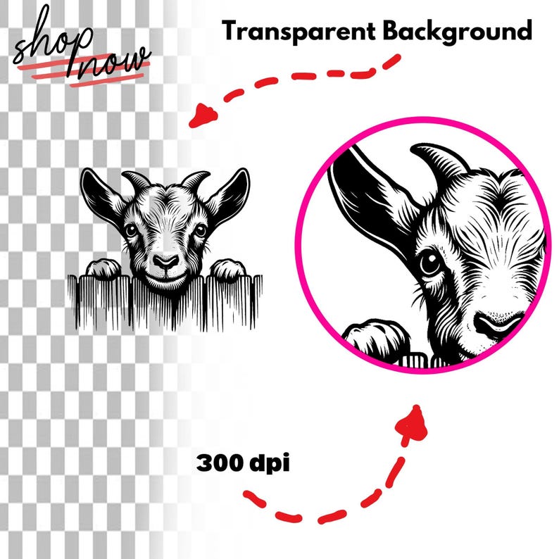 Farm Animals Svg Bundle | Cow Svg, Goat SVG, Donkey Svg, Sheep SVG ...