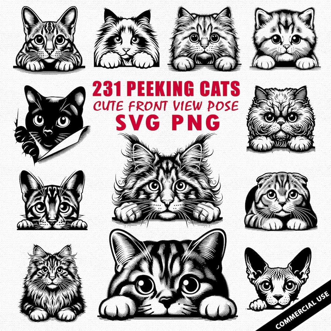 231 Peeking Cats Svg, Cute Cat Front View Pose Svg, Cat Lover Digital ...