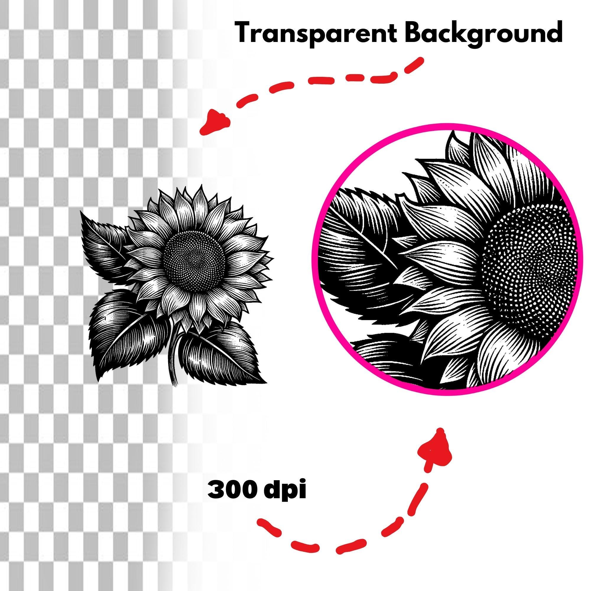 Sunflower Laser Engraving SVG Bundle | Rustic Sunflower Engrave Designs ...