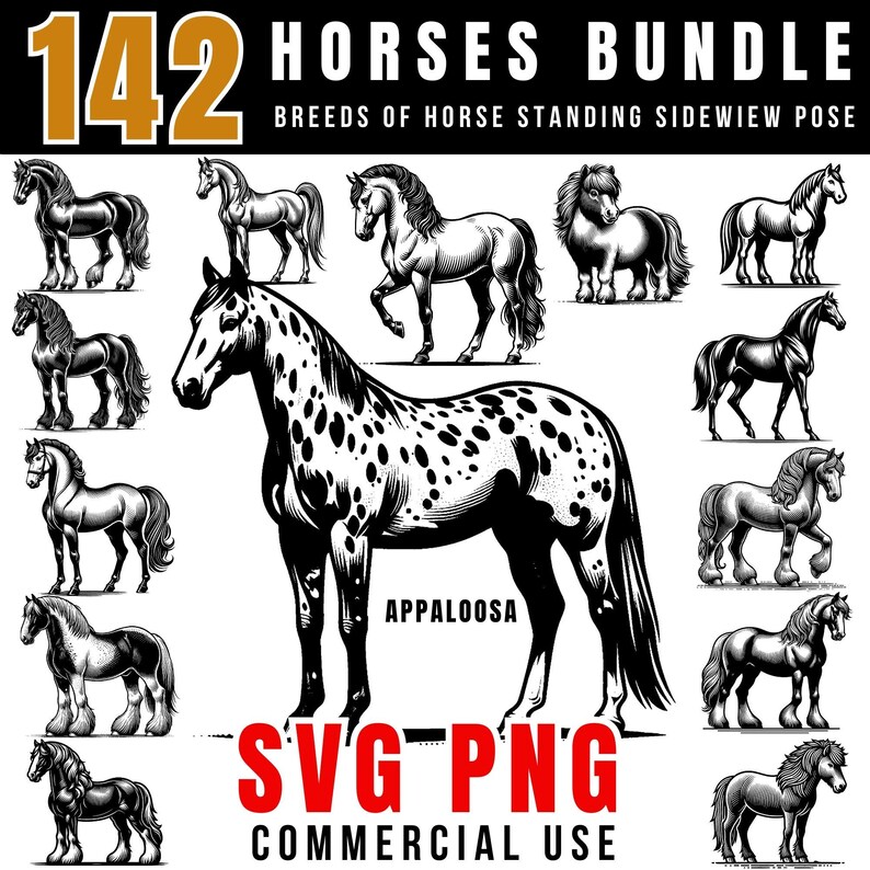 Paquete SVG y PNG de caballos / Clipart ecuestre para Cricut y ...