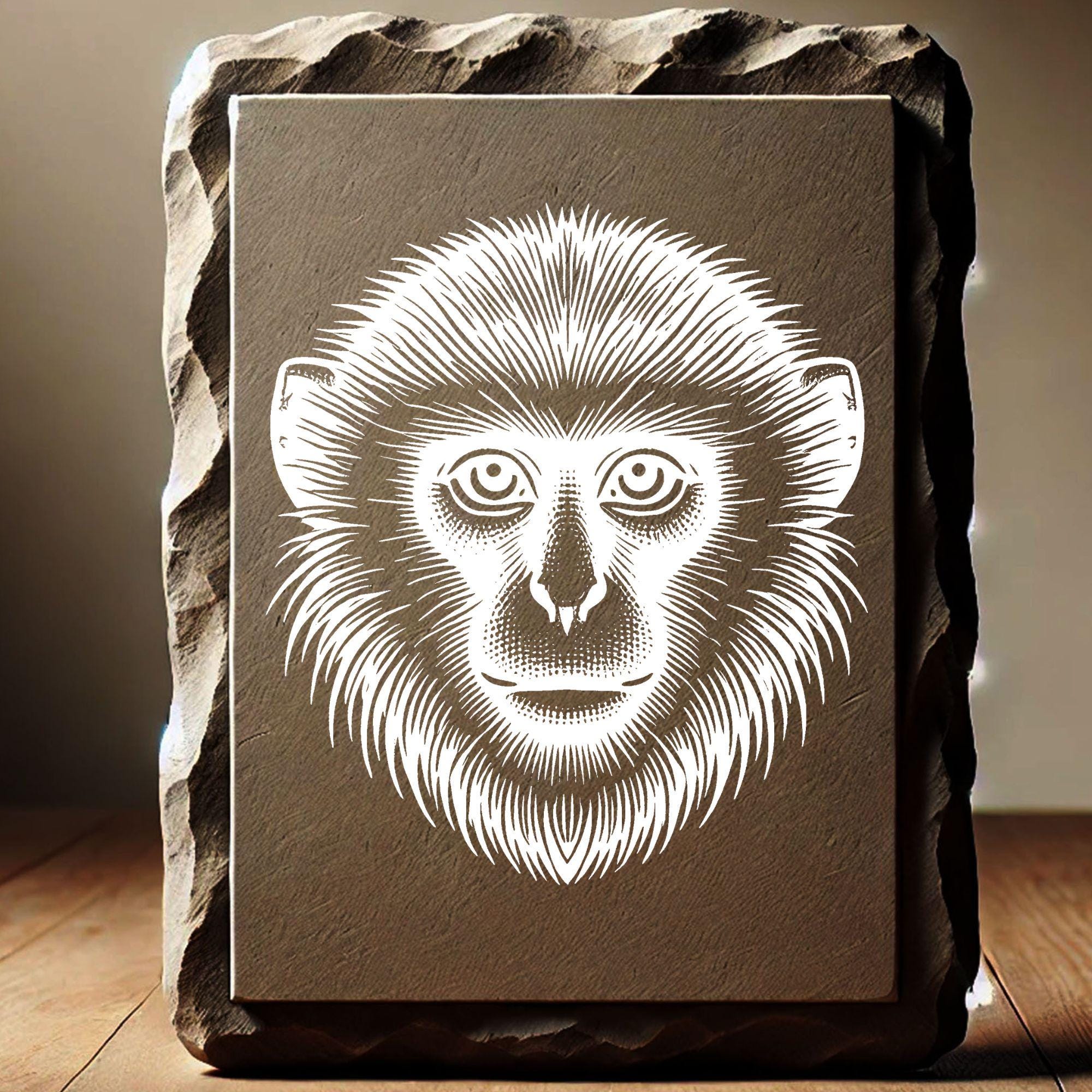 160 Safari Animals Head Slate Engrave SVG Bundle, Png Lion Elephant ...