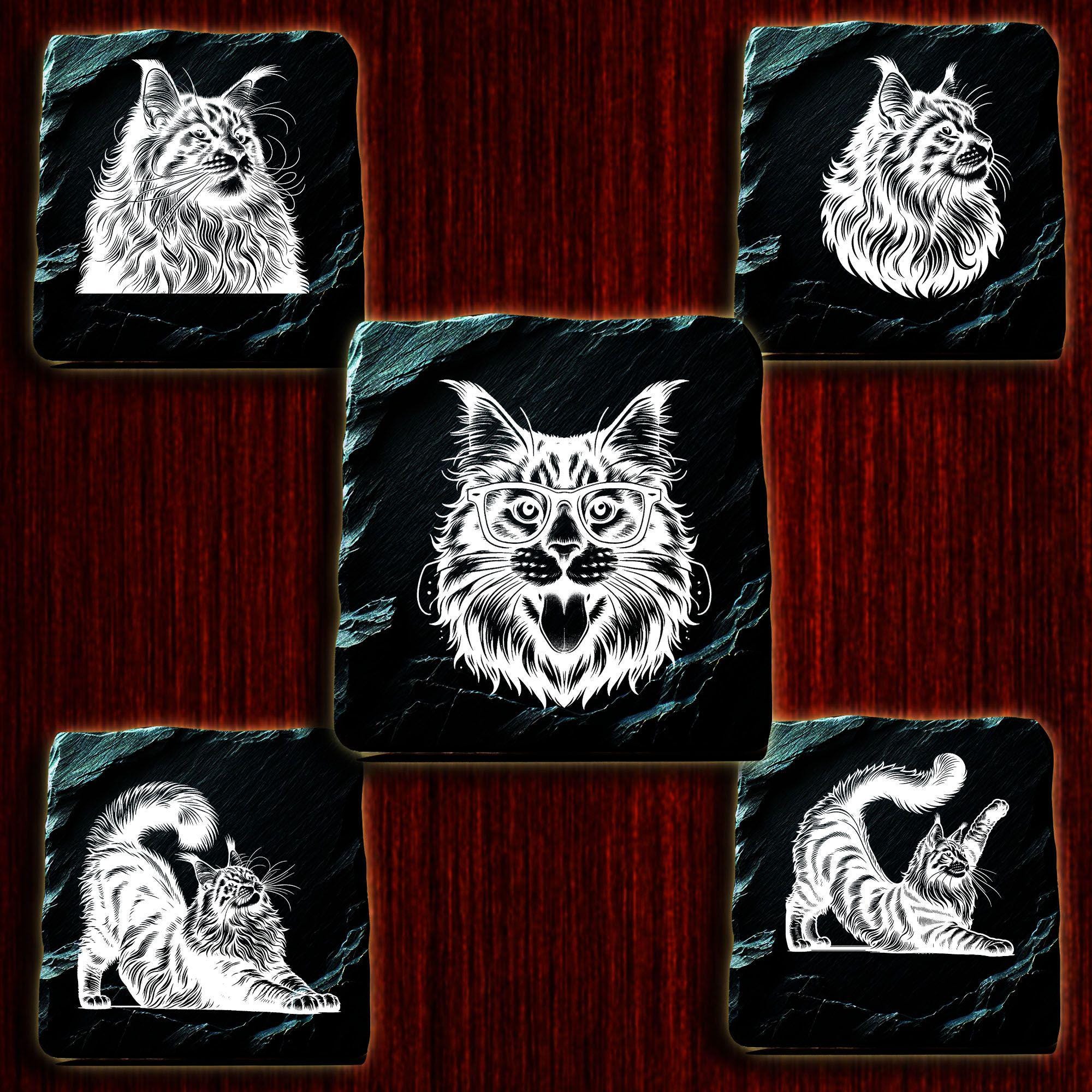 119 Maine Coon Cat Slate Engrave Bundle, Slate Cat PNG, Maine Coon SVG ...