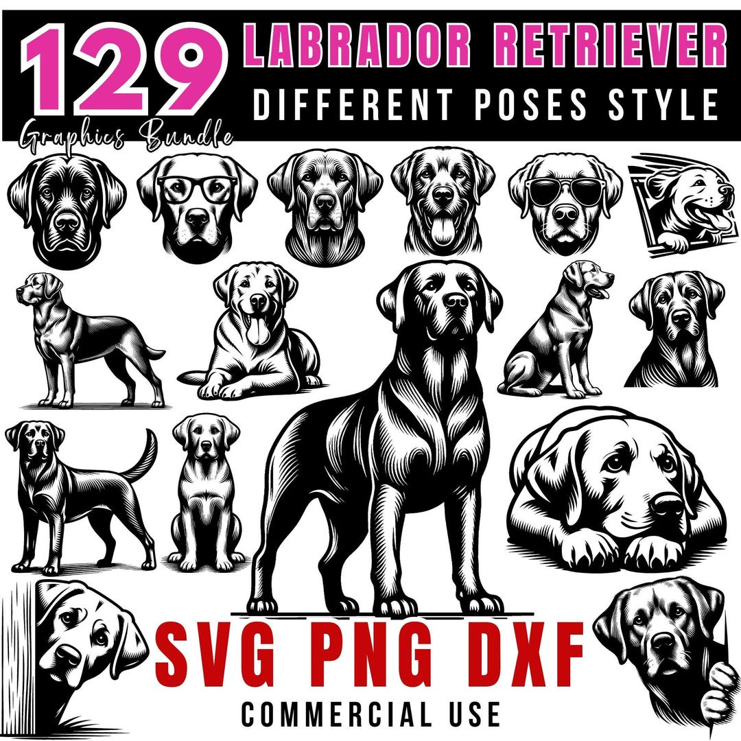 Labrador Retriever SVG Bundle | Hunting Dog Silhouettes & Clipart | Png ...