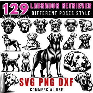 Labrador Retriever SVG, PNG and DXF Bundle | Labrador Dog Cut File for ...