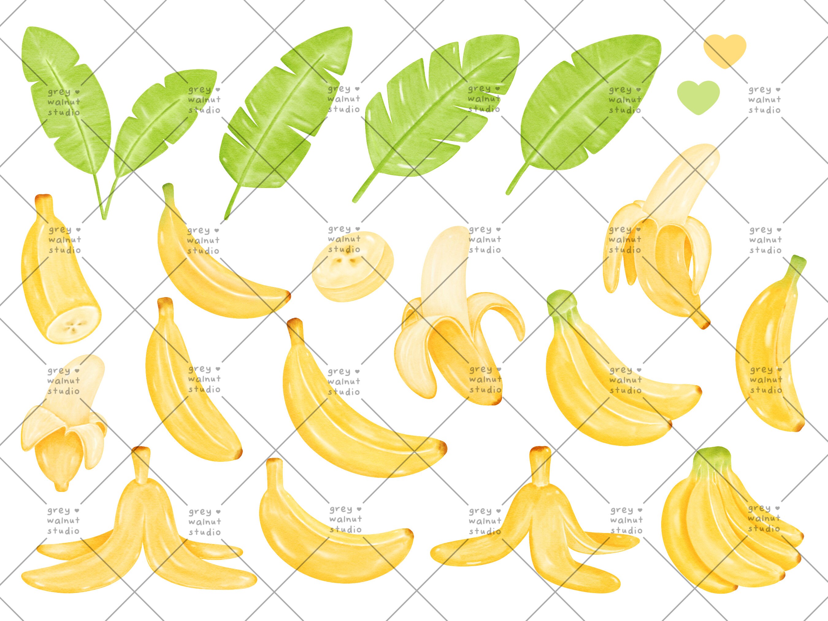 Bananas Clipart, Watercolor Banana, Banana Leaves Clipart, Banana Leaf ...