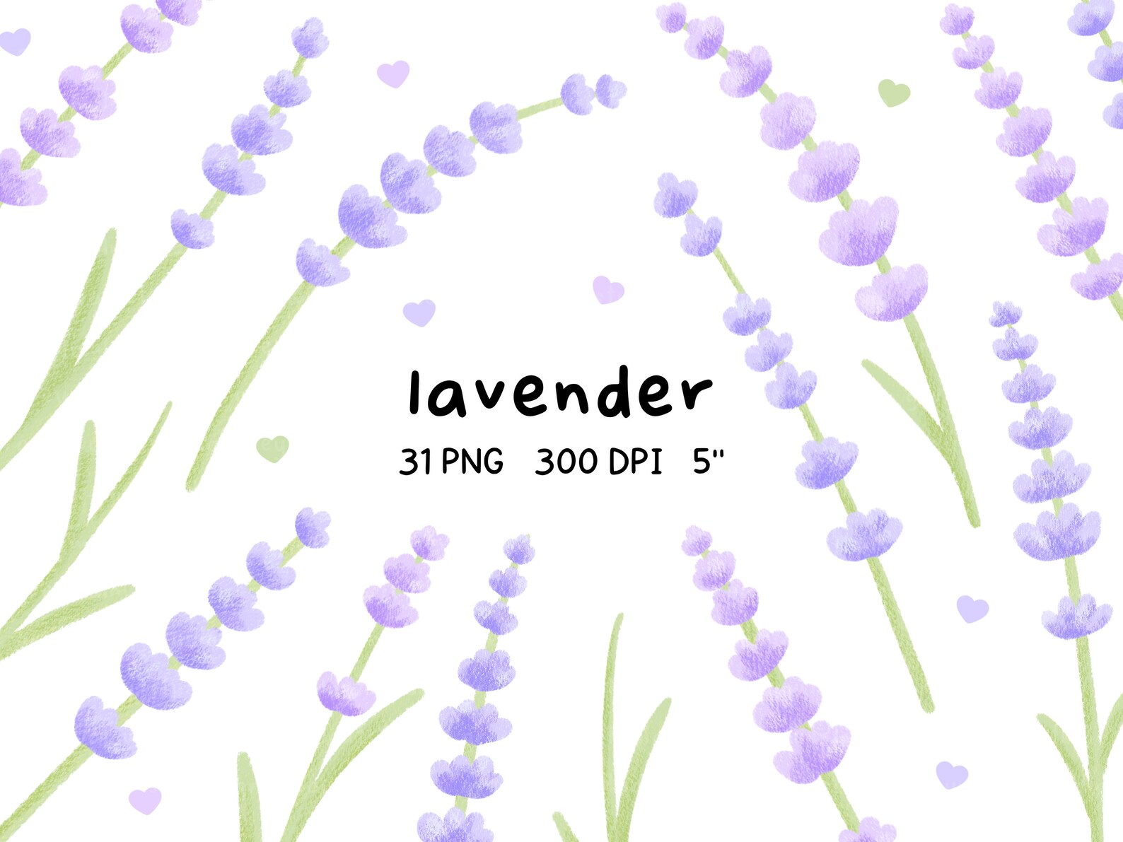 Lavender Illustration Clipart, Lavender Arrangement, Purple Floral ...
