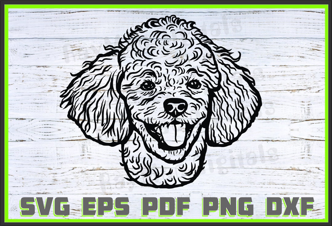 Poodle Dog, Svg, Dxf, Png, Dog Lover Svg, Dog Shirt Eps, Animal, Dog ...
