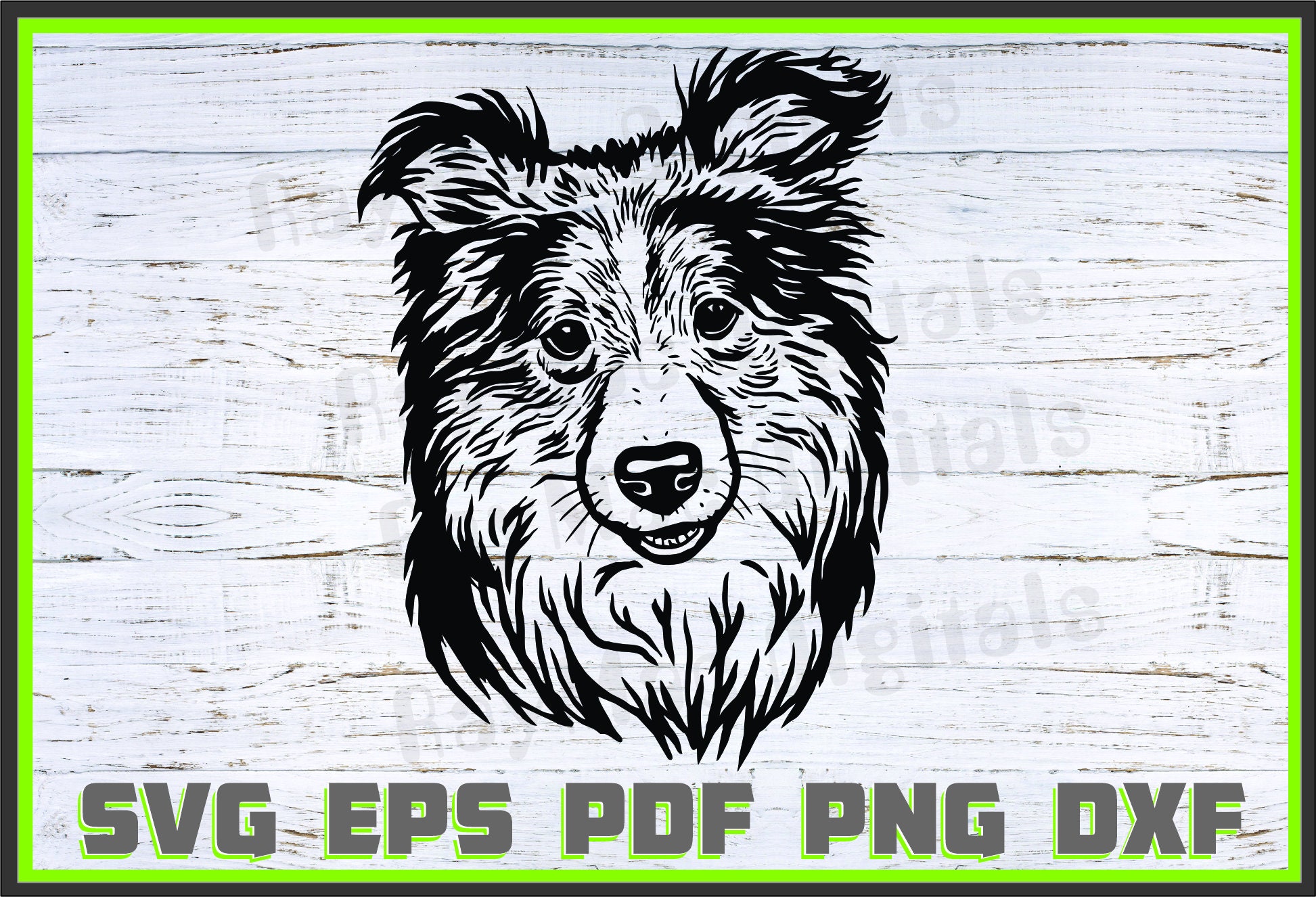 Collie Svg, Dog Dxf, Png, Dog Lover Svg, Dog Shirt Eps, Animal, Dog ...