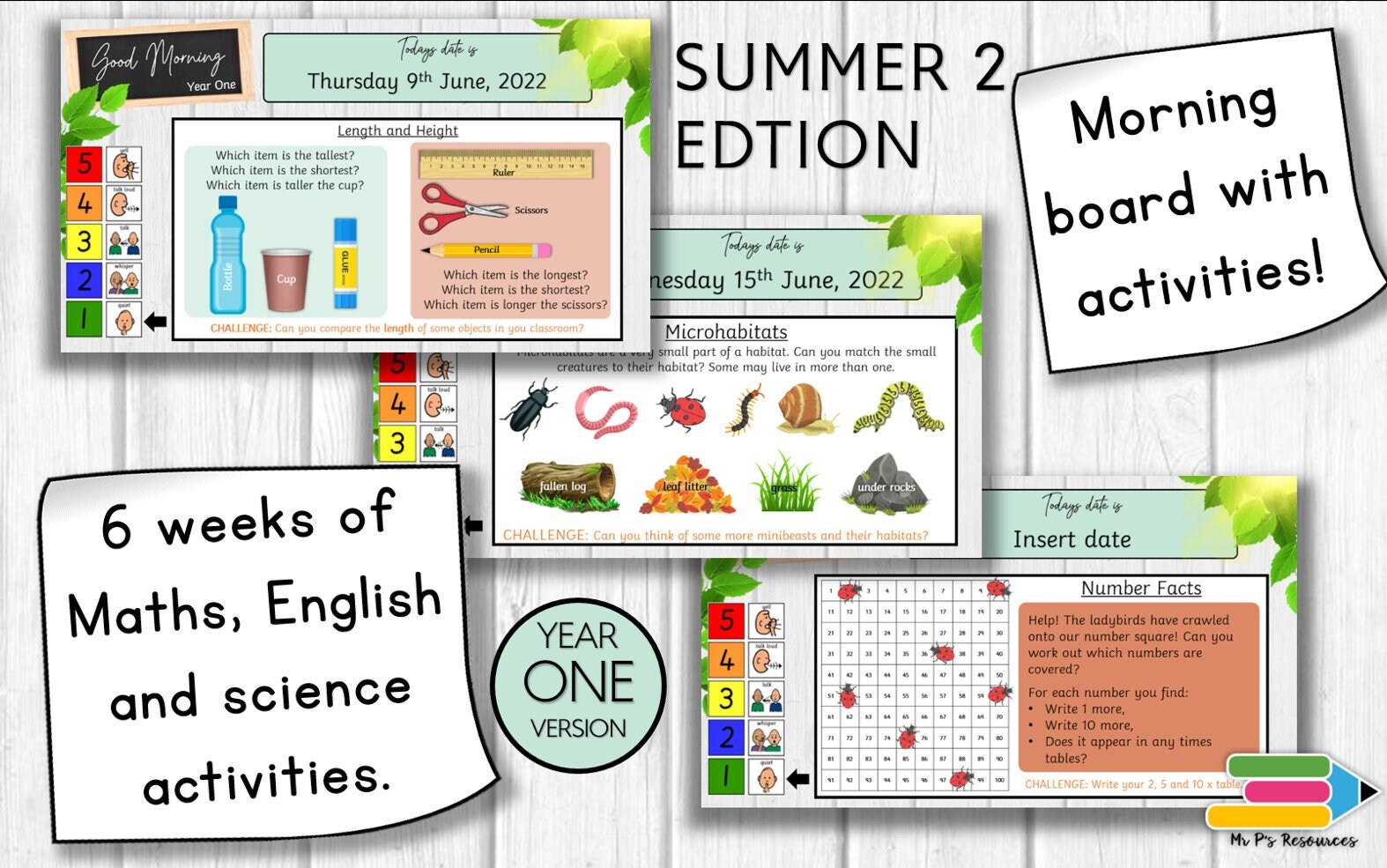 Morning Activities for Year 1 summer 2 - Etsy