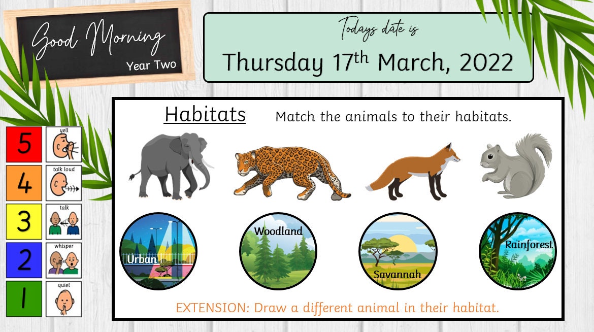 Morning Activities Year 2 whole Year VALUE PACK - Etsy UK