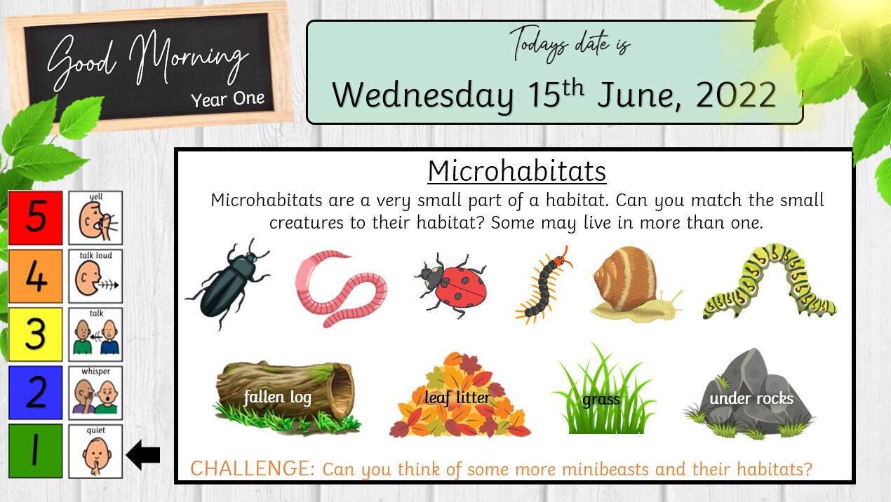 Morning Activities for Year 1 summer 2 - Etsy