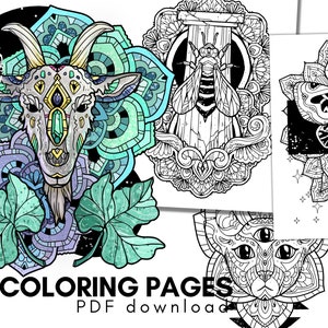Mythical Nature Printable Coloring Pages for Adults PDF Instant ...