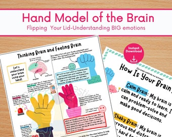 Understanding Emotions Poster Hand Model of Brain School Counselor ...