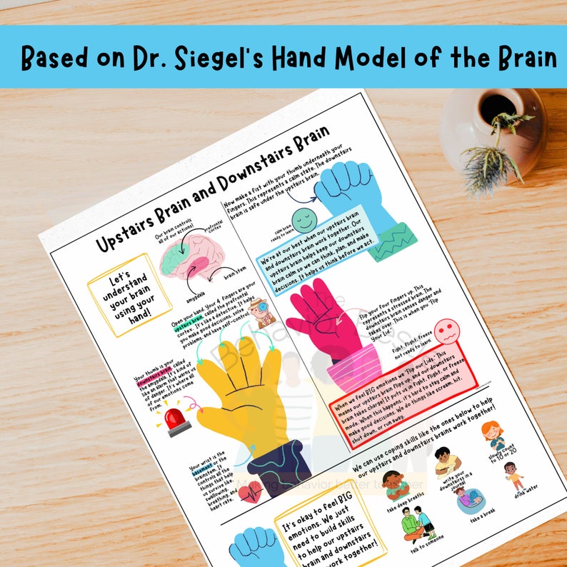 Emotional Regulation Brain Poster, Flip Your Lid Hand Model of Brain ...