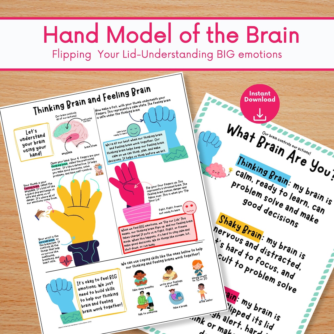 Emotional Regulation Brain Poster, Flip Your Lid Hand Model of Brain ...