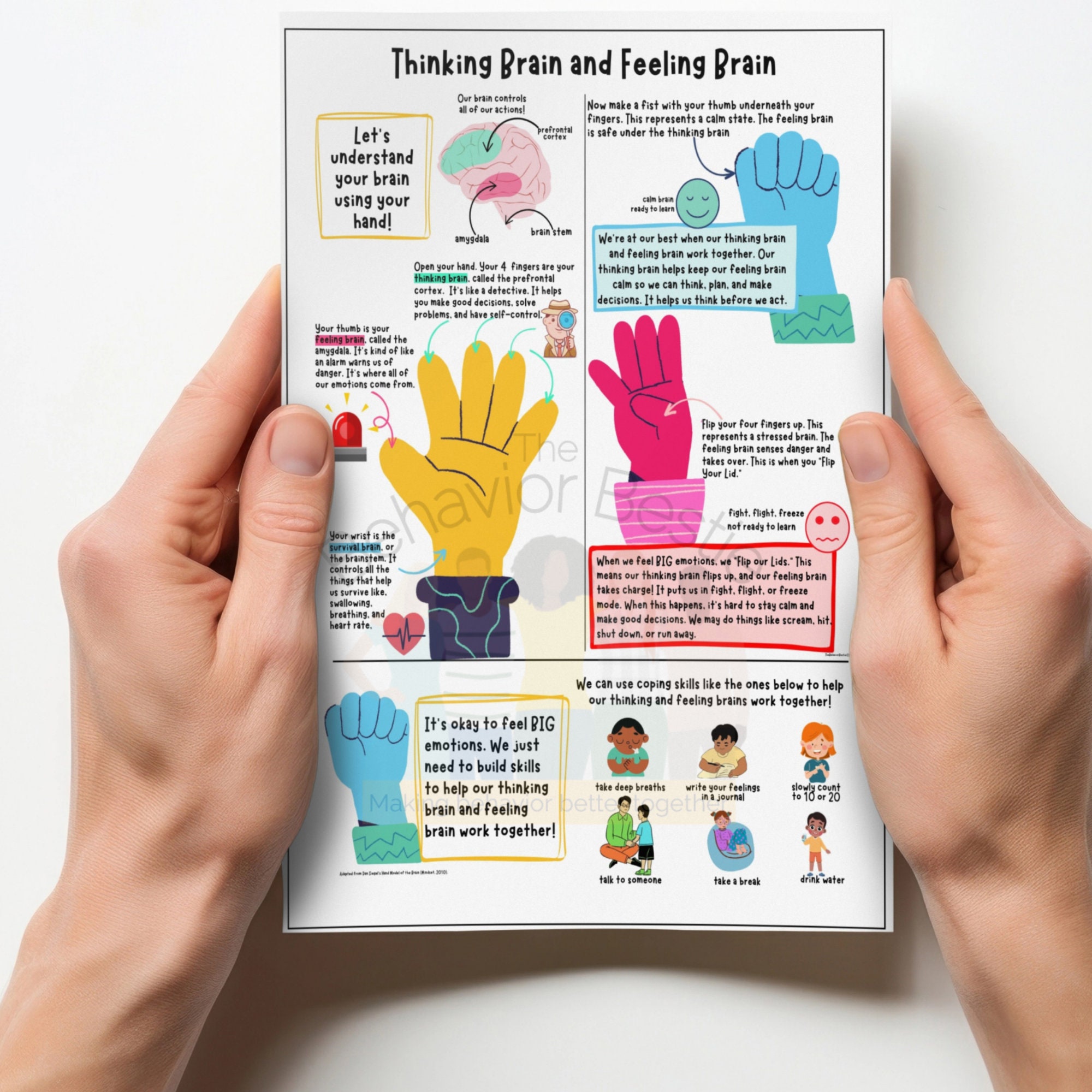 Emotional Regulation Brain Poster, Flip Your Lid Hand Model of Brain ...
