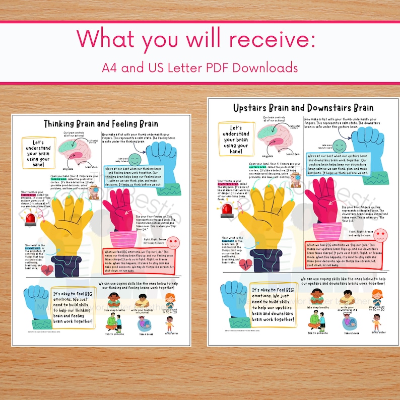 Emotional Regulation Brain Poster: Hand Model, Feelings Check-in (PDF ...