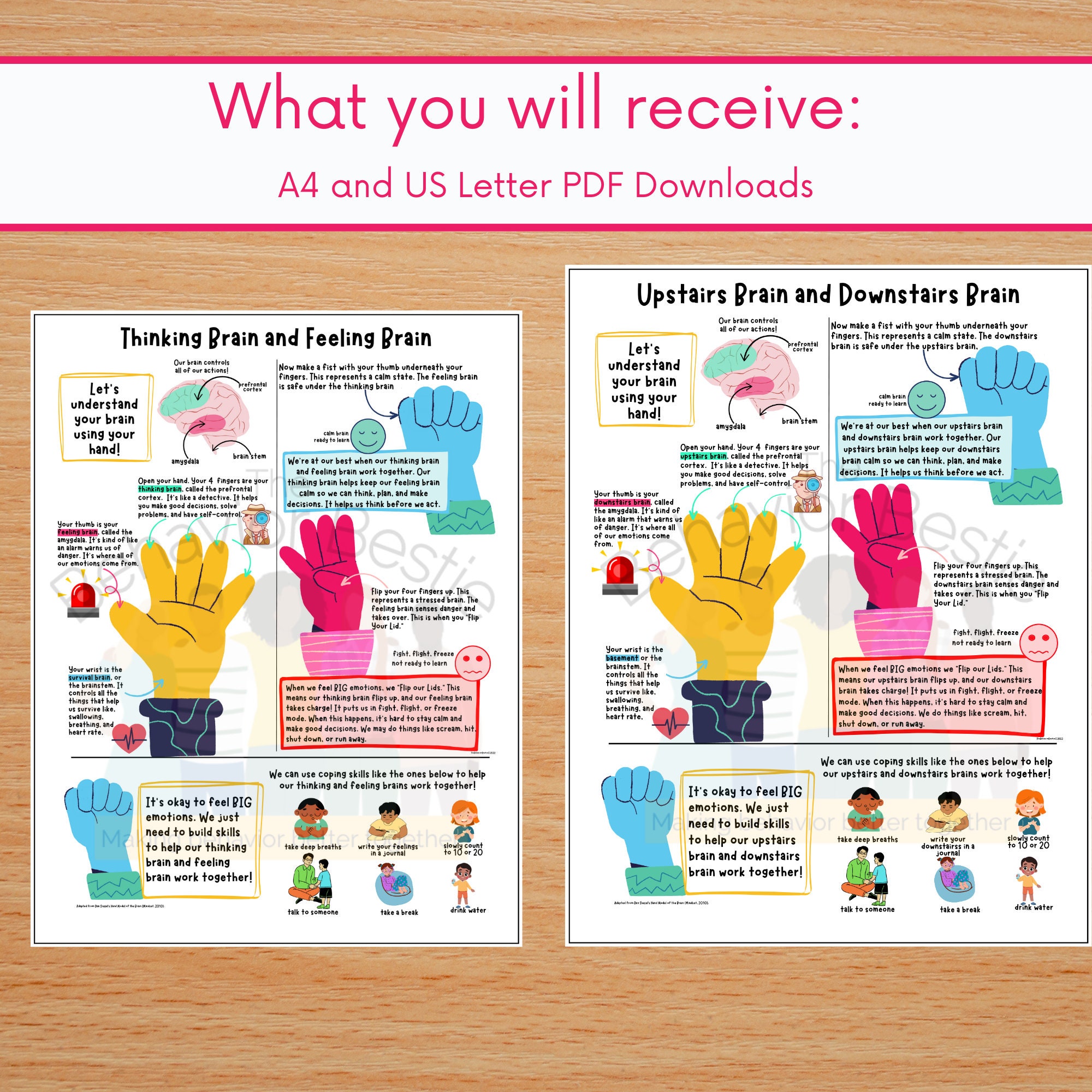 Emotional Regulation Brain Poster: Hand Model, Feelings Check-in (PDF ...