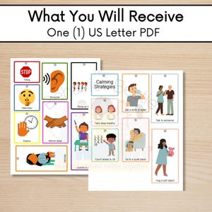 Printable Behavior Cue Cards: Calming Strategies, Classroom Management ...