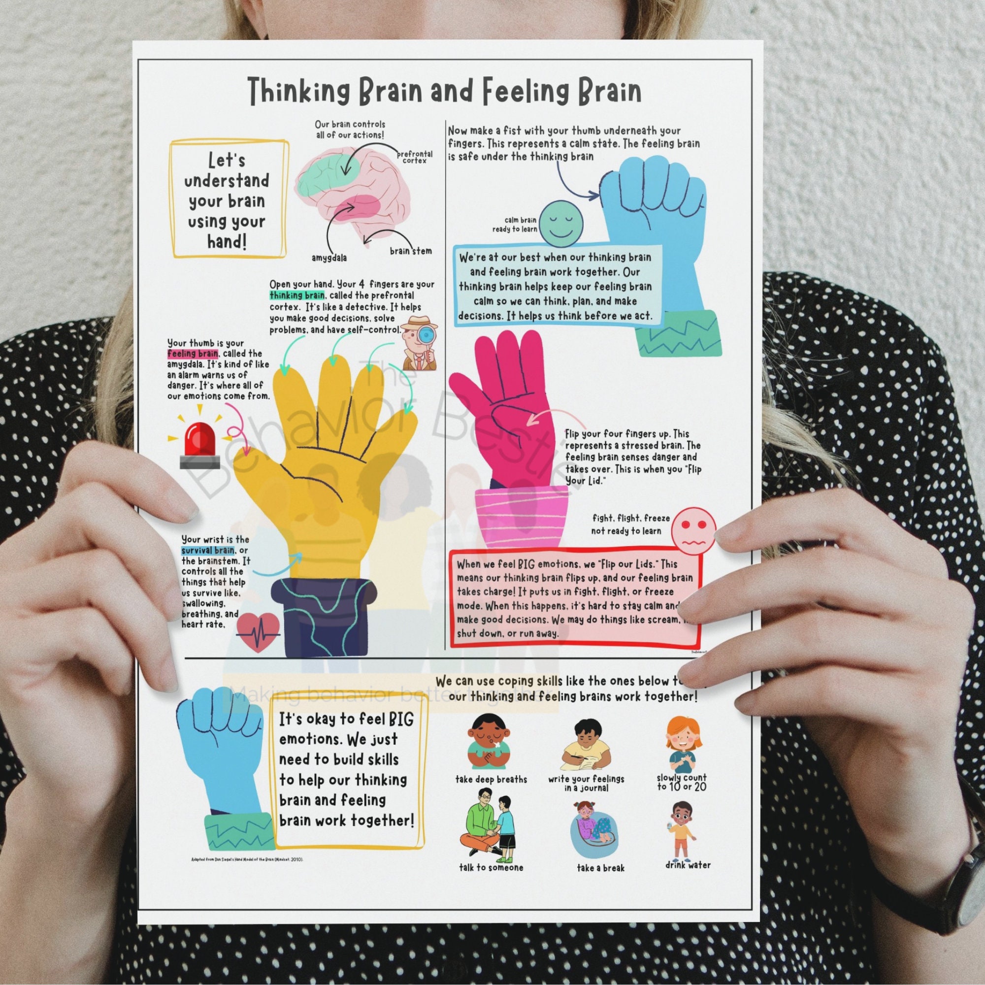 Emotional Regulation Brain Poster, Flip Your Lid Hand Model of Brain ...