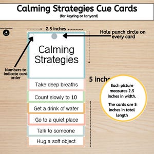 Printable Behavior Cue Cards: Calming Strategies, Classroom Management ...