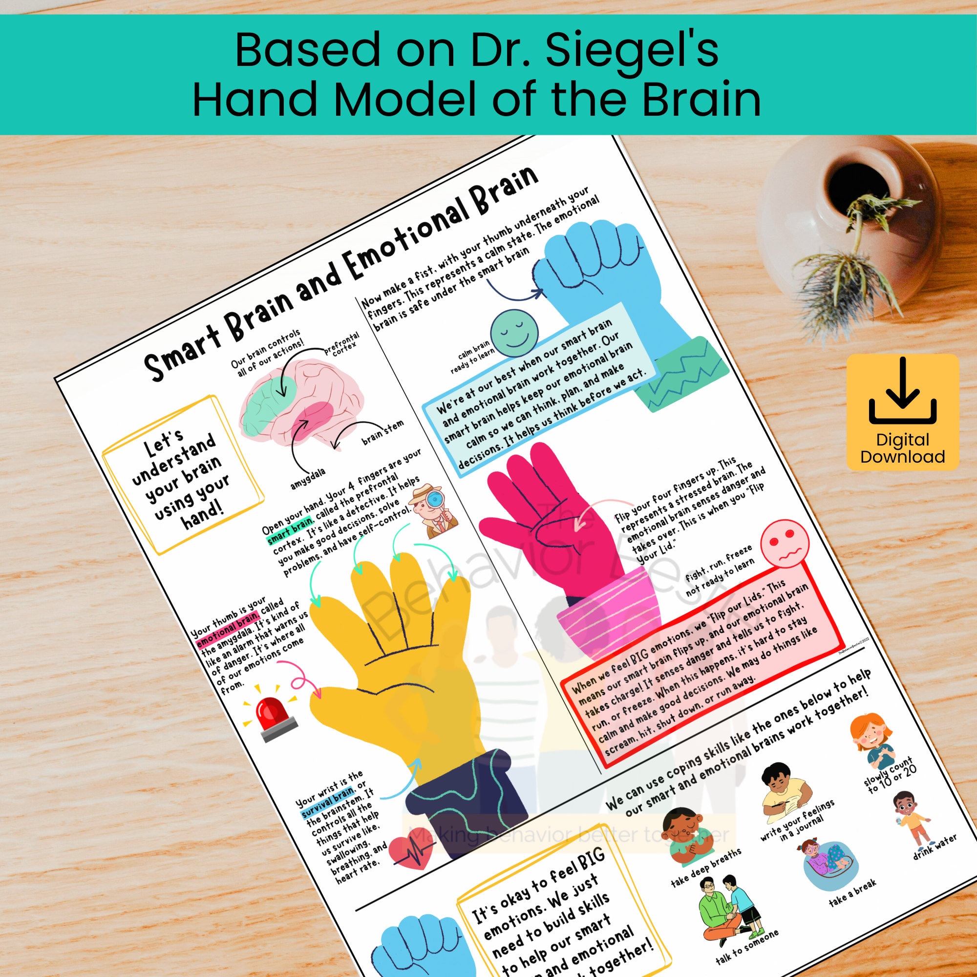 Printable Hand Model of the Brain, Upstairs and Downstairs Brain ...