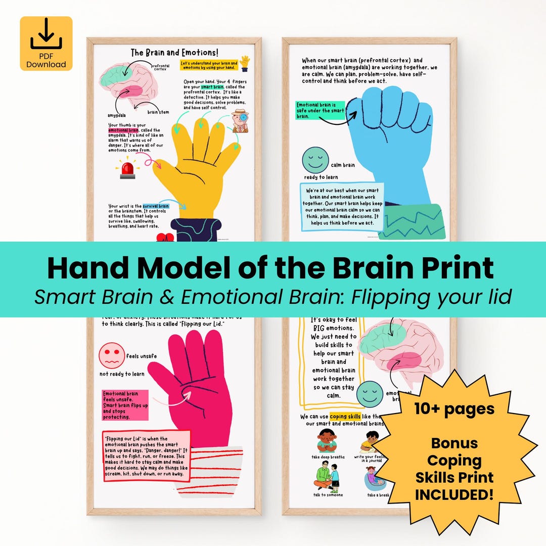 Printable Hand Model of the Brain, Upstairs and Downstairs Brain ...