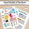 Understanding Emotions Poster | Hand Model of Brain | School Counselor ...