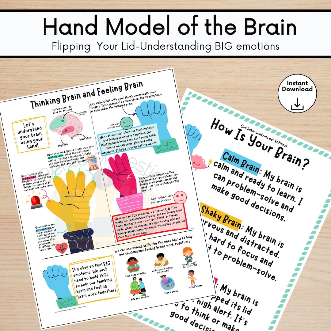 Emotional Regulation Brain Poster: Hand Model, Feelings Check-in (PDF ...