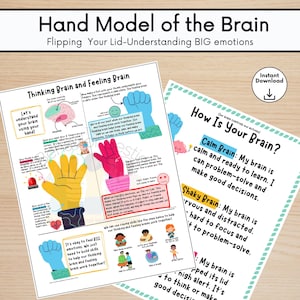 Emotional Regulation Brain Poster, Flip Your Lid Hand Model of Brain ...