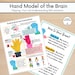Understanding Emotions Poster | Hand Model of Brain | School Counselor ...