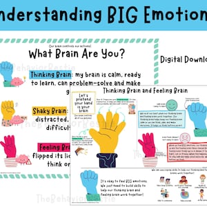 Understanding Emotions Poster Hand Model of Brain School - Etsy