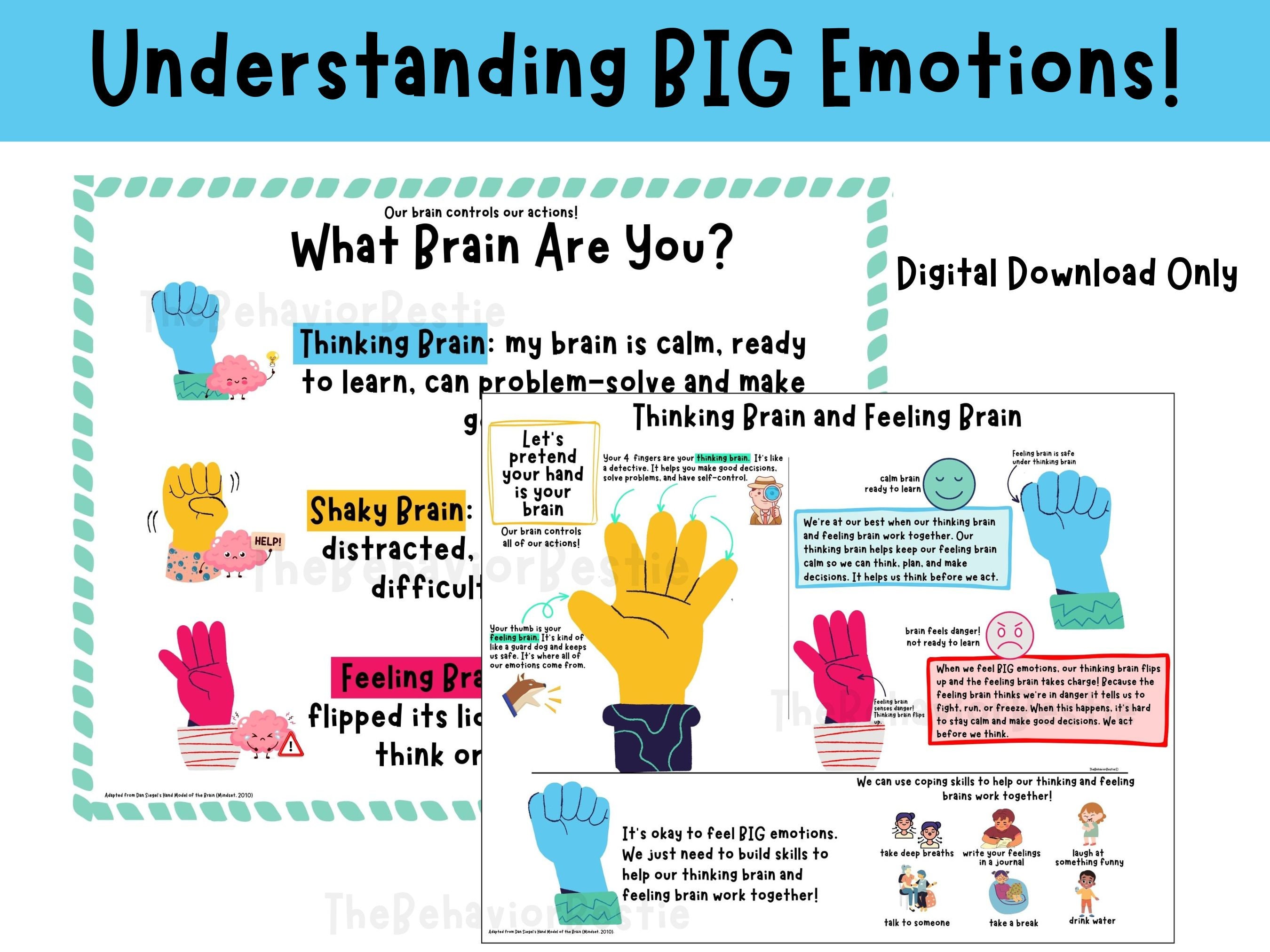 Understanding Emotions Poster Hand Model of Brain School - Etsy