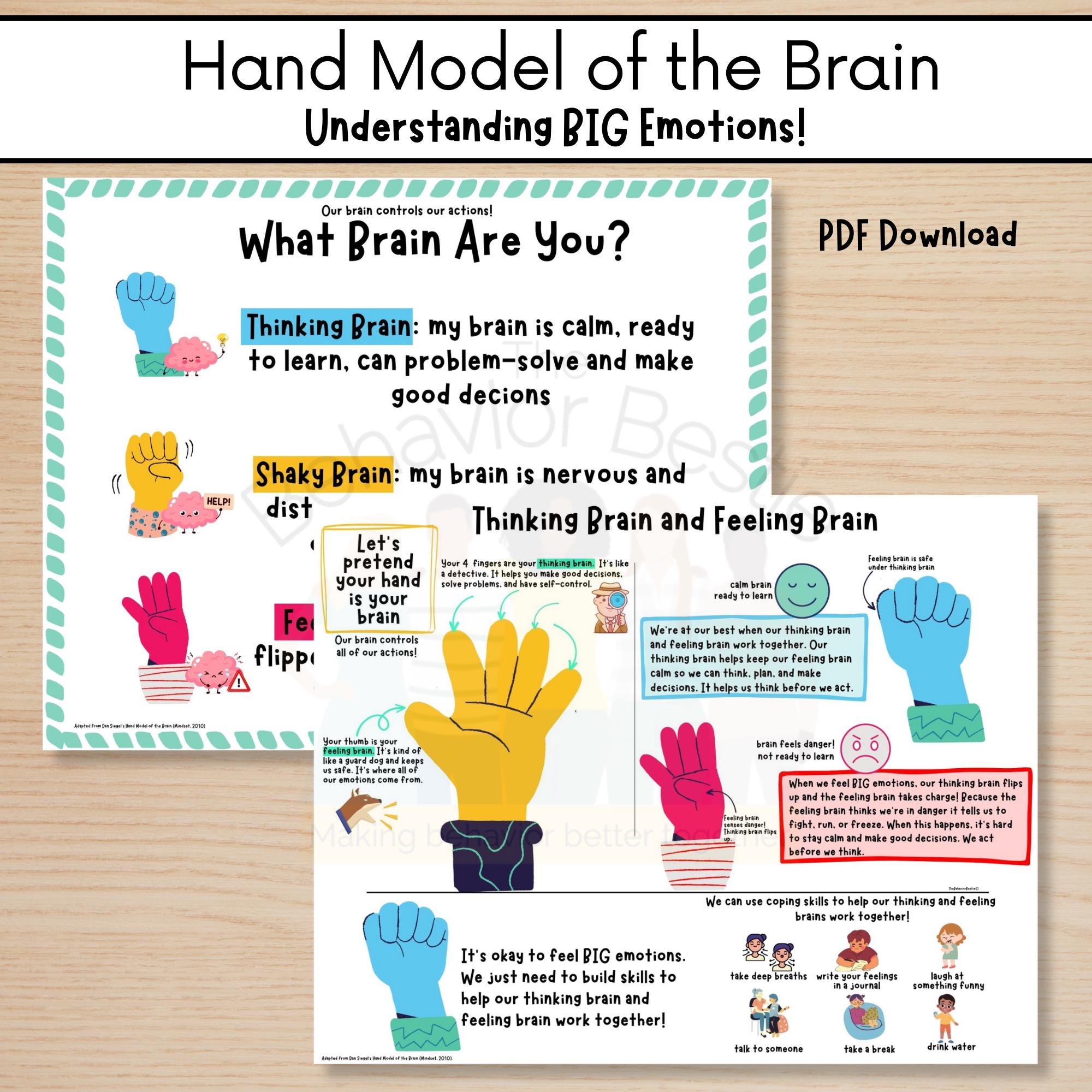 Understanding Emotions Poster: Hand Model of Brain (PDF & JPG) - Etsy