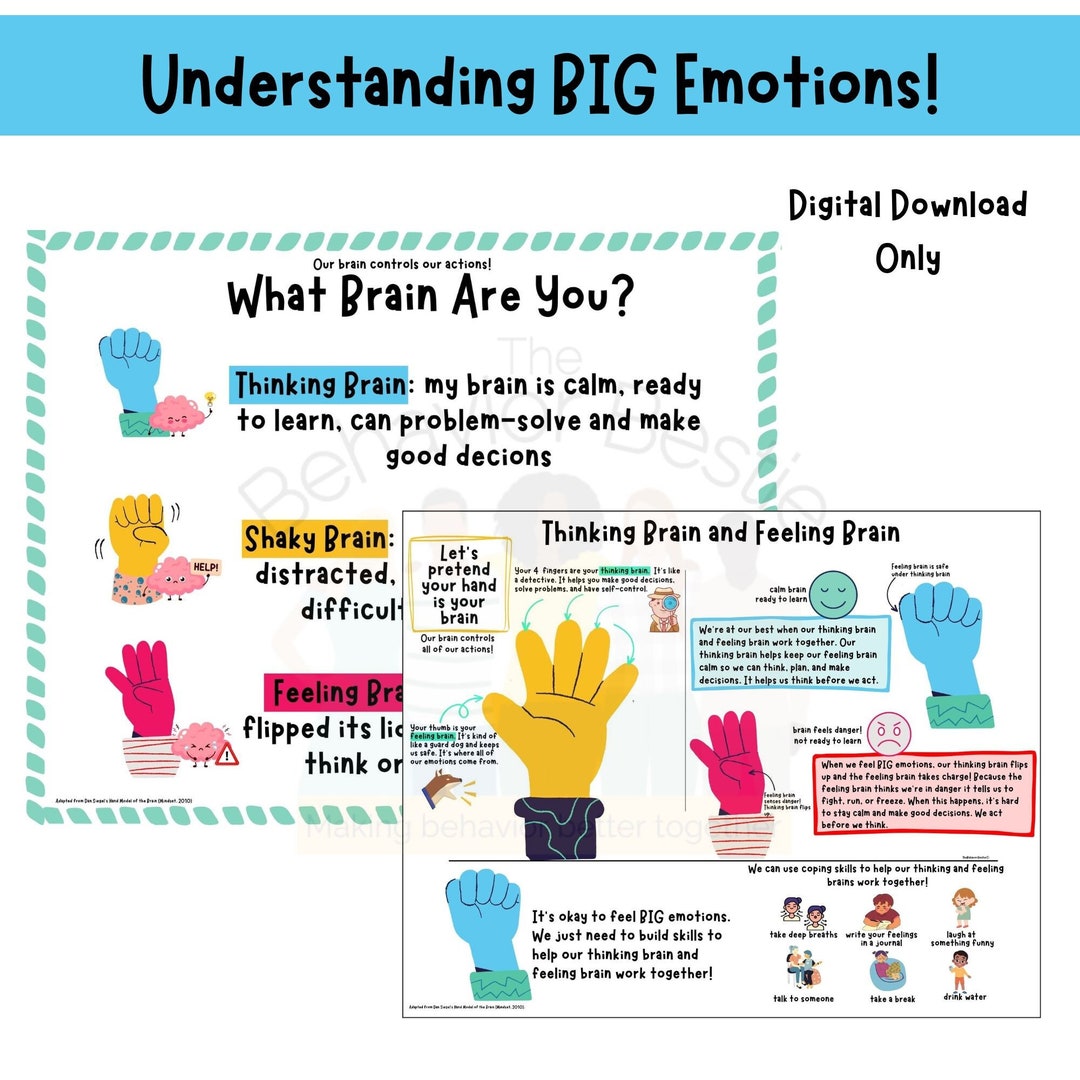 Understanding Emotions Poster Hand Model of Brain School Counselor ...