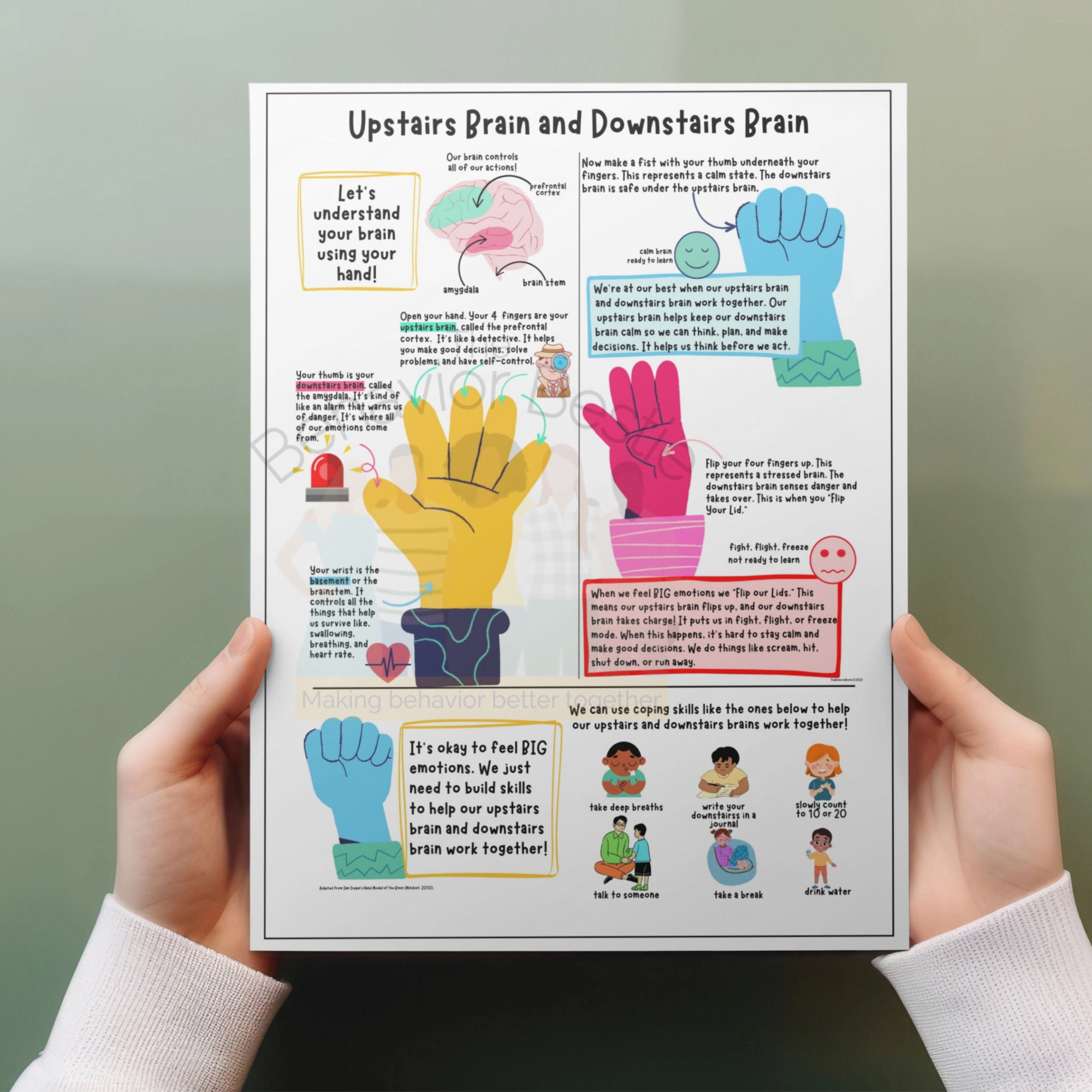 Emotional Regulation Brain Poster, Flip Your Lid Hand Model of Brain ...