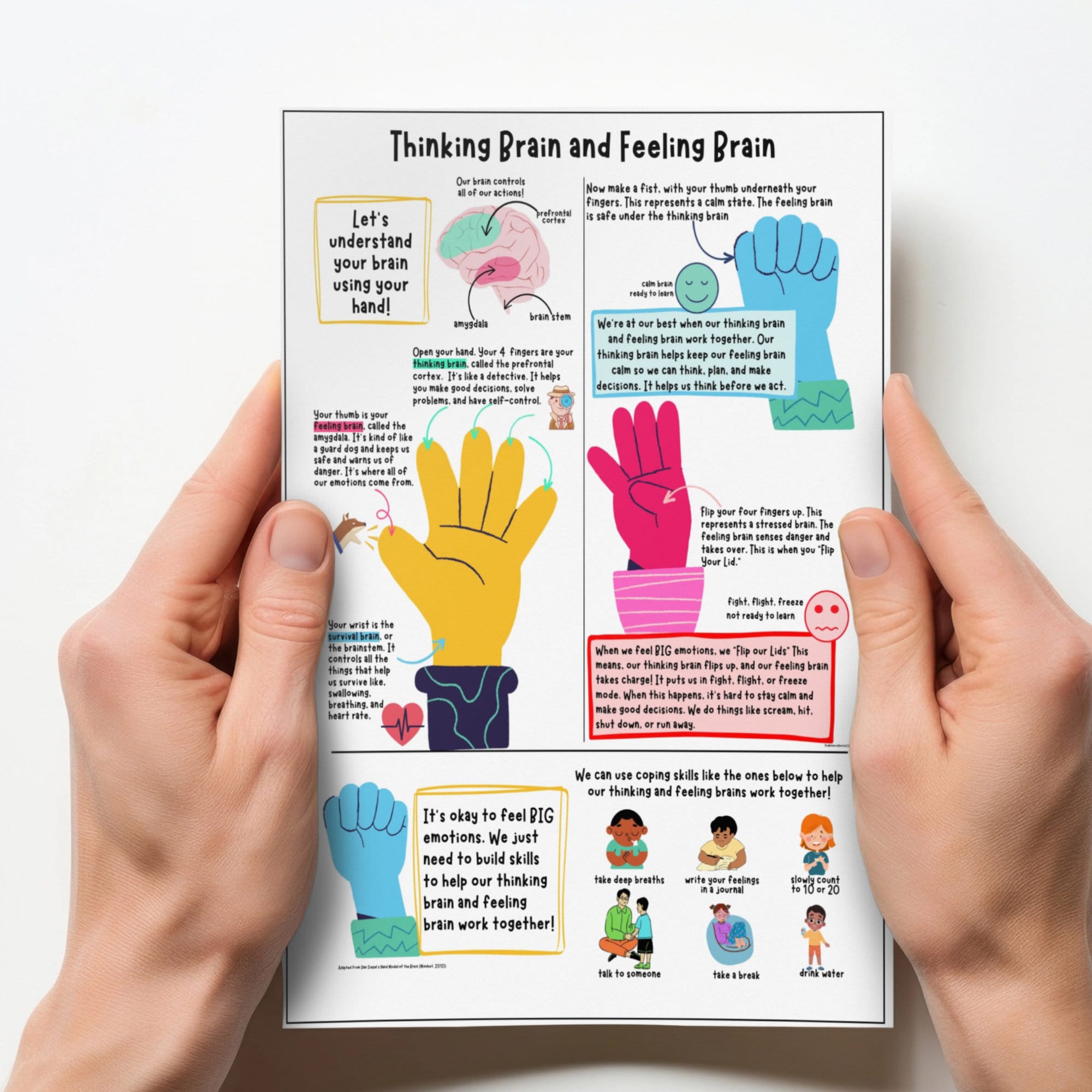 Emotional Regulation Brain Poster, Flip Your Lid Hand Model of Brain ...